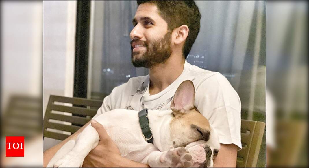 PHOTO! Samantha captures a cute moment between Naga Chaitanya and their ...