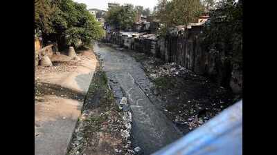 Pune: Bhairoba nullah spills again, submerges Empress Garden partially ...