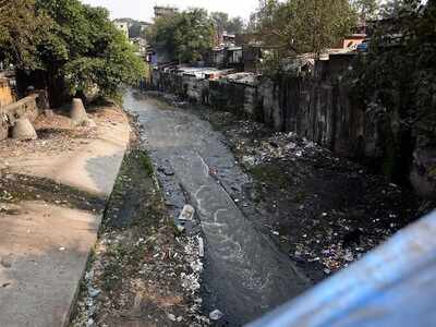 Pune: Bhairoba nullah spills again, submerges Empress Garden partially ...