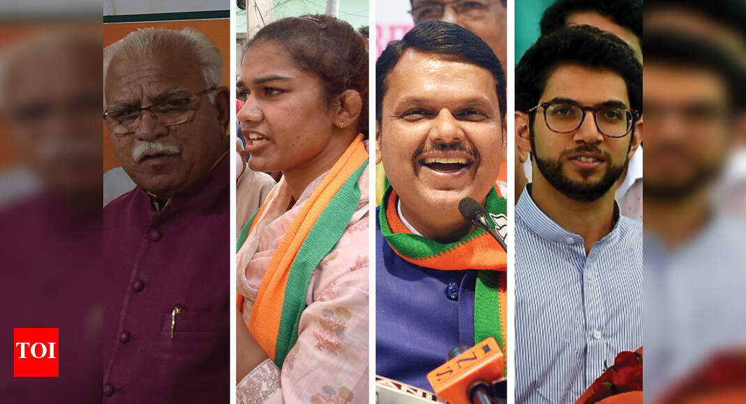 Assembly polls 2019: Winners & losers | India News - Times of India