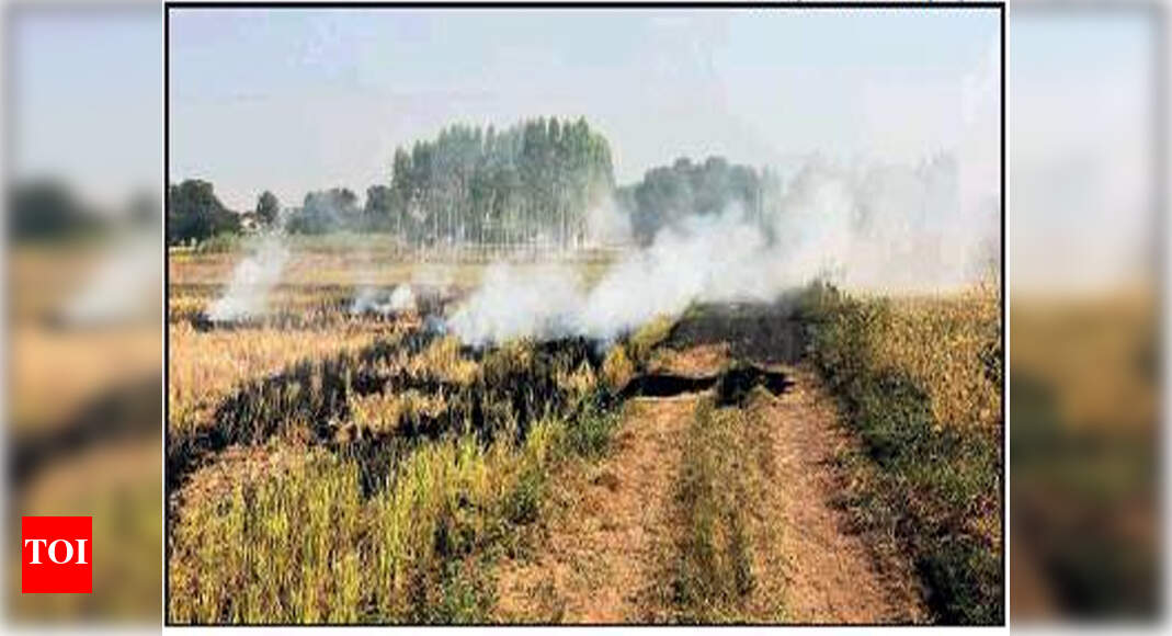 Two farmers booked for burning paddy residue, 27 cases confirmed ...
