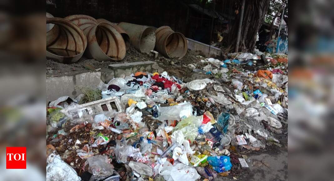 Garbage dumped openly on road - Times of India