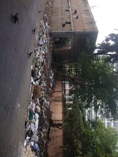 SaltLake DK block - Times of India