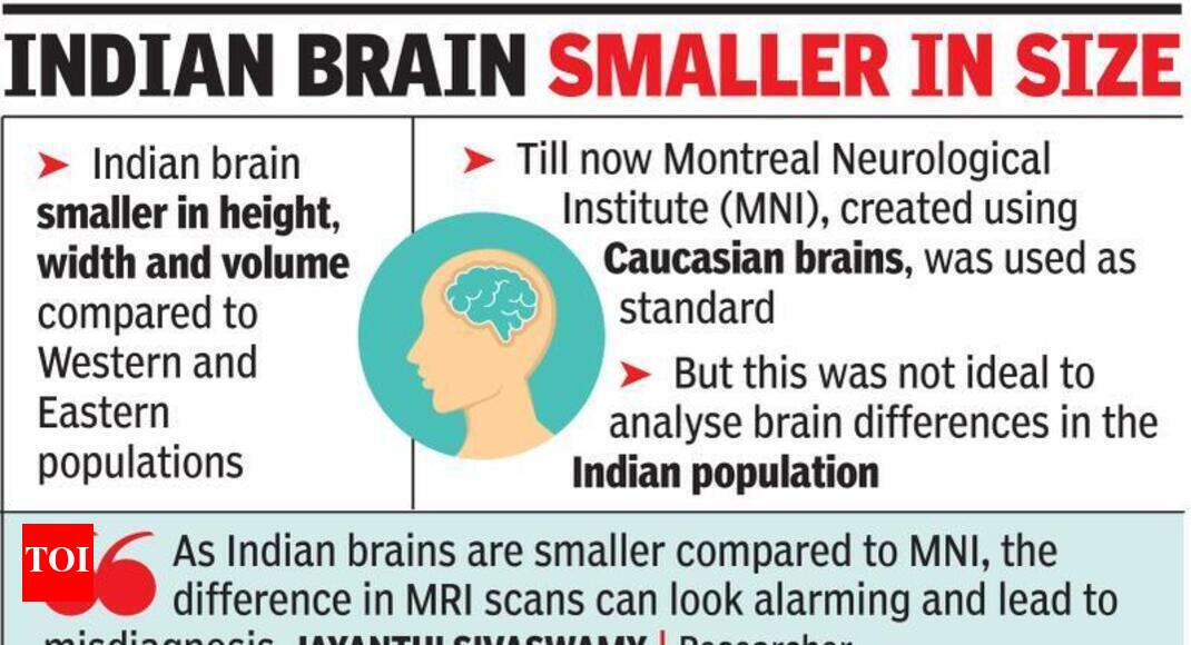 IIIT-H creates 1st-ever Indian brain atlas, to help early disease ...