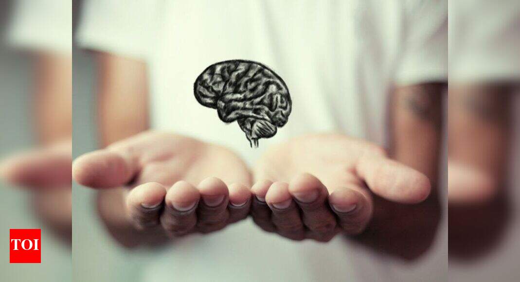 Indians have smaller brains, reveals study - Times of India