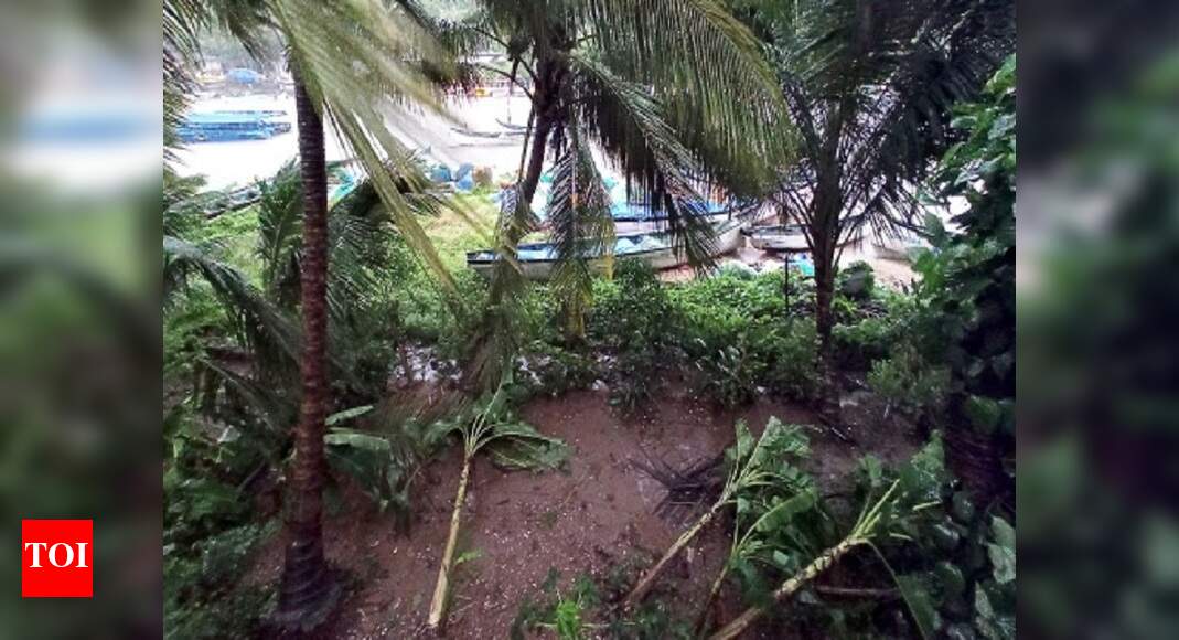 Kerala Rains Imd Issues Orange Alert In 3 Districts Kochi News