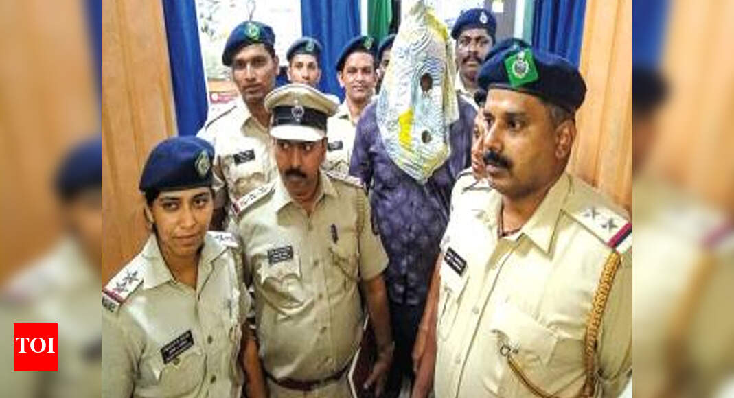 Haul of shame: Drug seizure worth Rs 3 crore is Goa’s ‘biggest ever ...