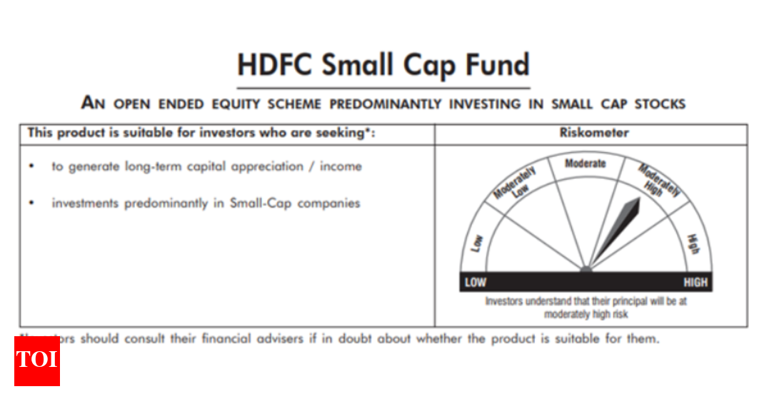 HDFC Small Cap Fund - Times of India
