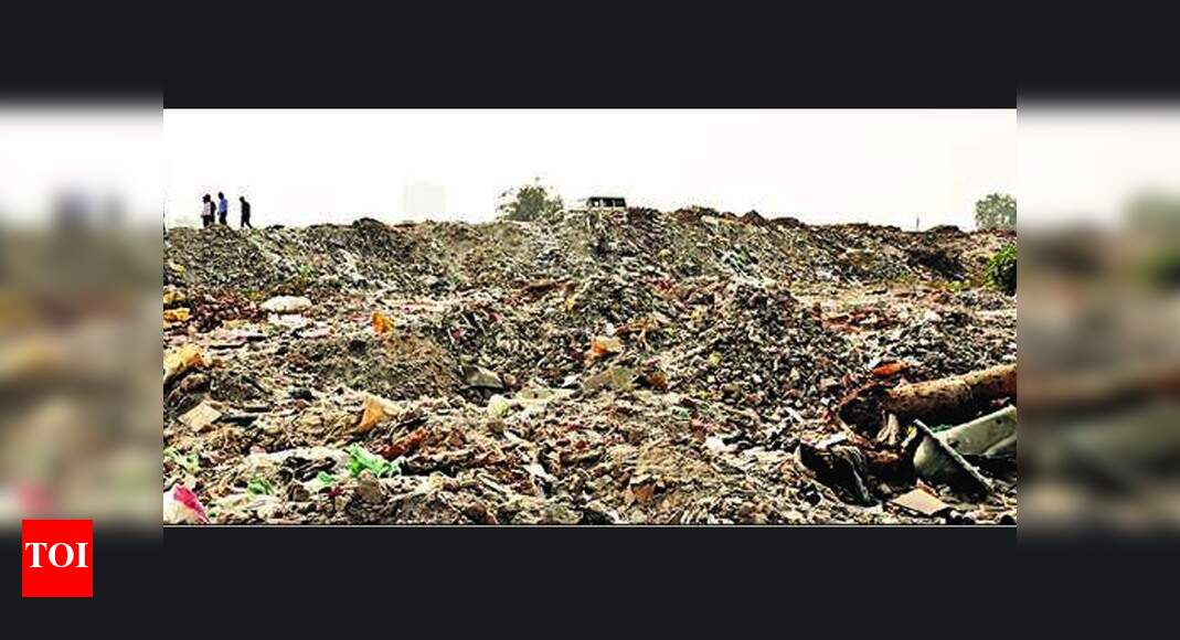 Gurugram: A fight against pollution that sets in the waste | Gurgaon ...