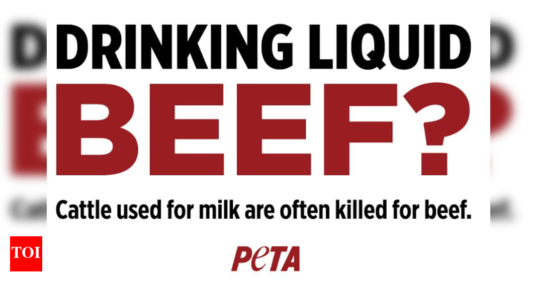 World Vegan Day: Milk? PeTA wants you to stop drinking ‘liquid beef ...