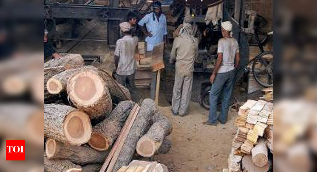 Low demand, high GST plague Kutch timber industry | Ahmedabad News ...