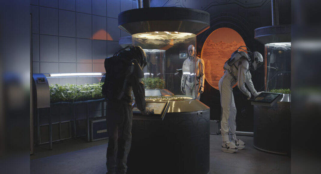 Czech scientists growing mustard plants for planet Mars living and ...