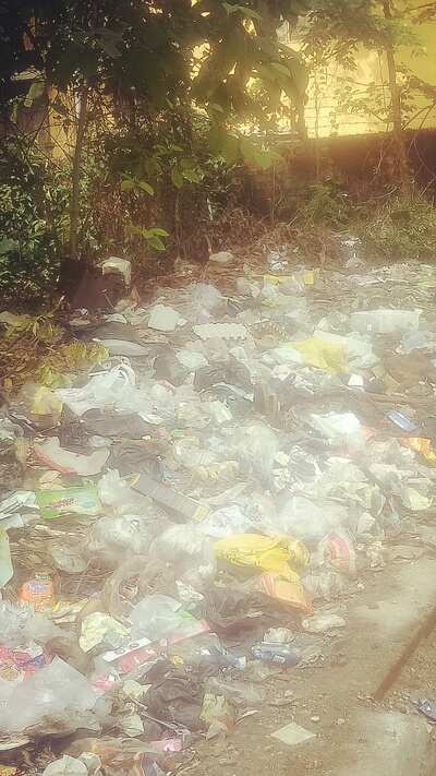 Three decade old garbage dump yard. - Times of India