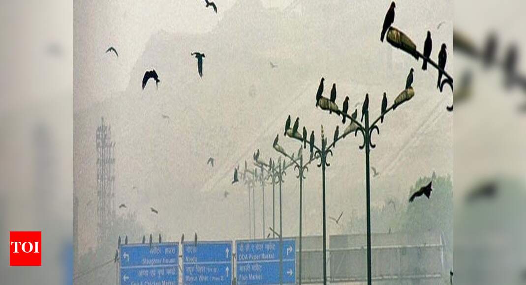 Airlines cancel or divert Pune-Delhi flights as smog settles over ...
