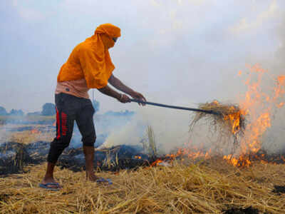 We are helpless, say Punjab farmers on stubble burning | Chandigarh ...