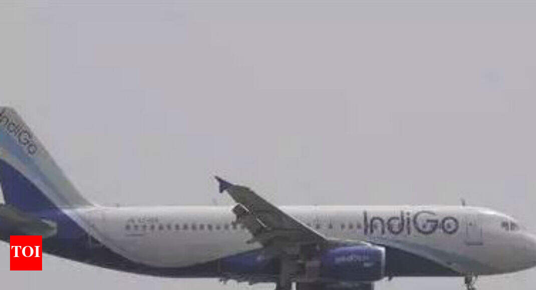 IndiGo system crash delays flights across India, flyers stuck at ...