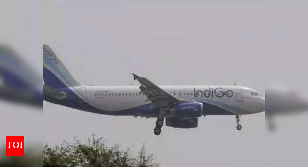 IndiGo system crash delays flights across India, flyers stuck at ...