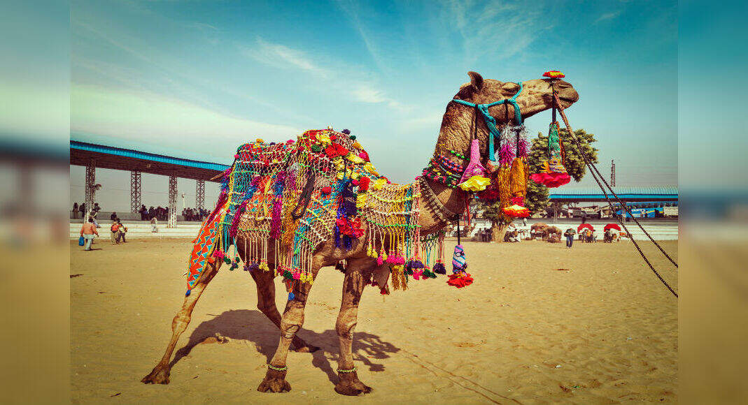 Pushkar Mela 2019: a gorgeous mix of colours and culture, Pushkar ...