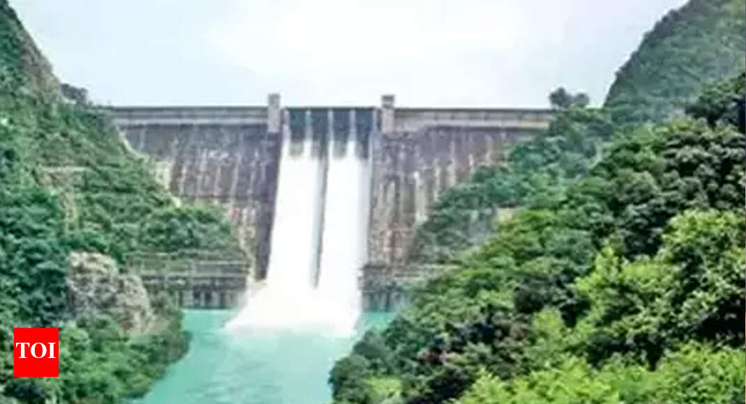 Last chance for Bhakra Dam oustees to regularise encroachments | Shimla ...