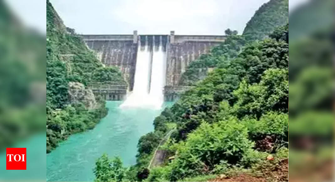Last chance for Bhakra Dam oustees to regularise encroachments | Shimla ...