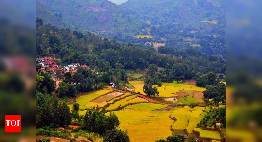 Night in the forest: Explore rich flora & fauna of Araku Valley after ...