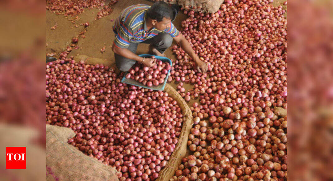Onion Price: Government relaxes fumigation norms for imported onions till November 30 | India ...