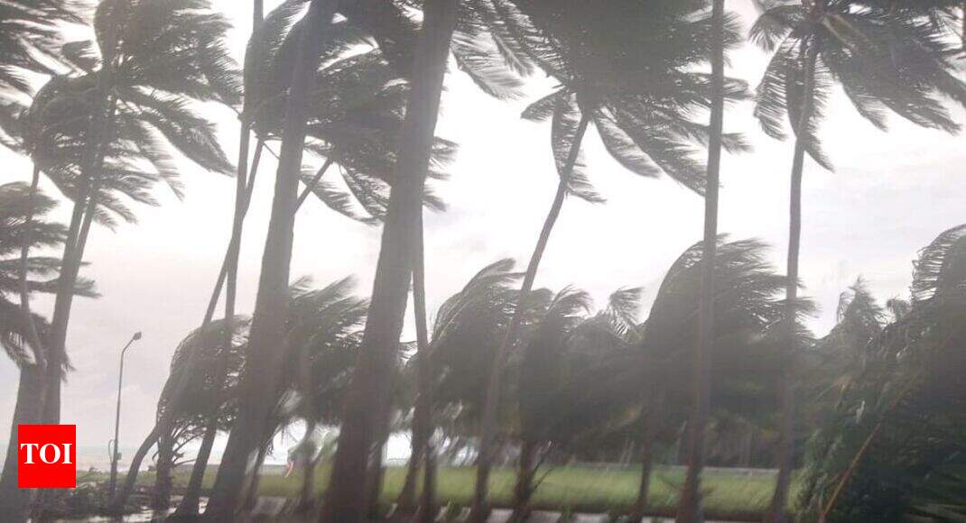 Cyclone Bulbul path: Cyclone Bulbul may intensify, likely to move ...