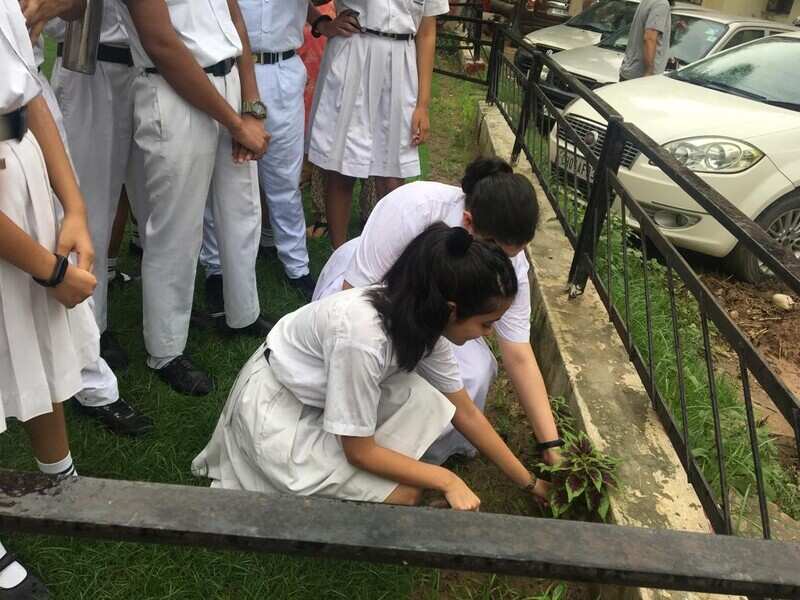 School students plant trees | Events Movie News - Times of India