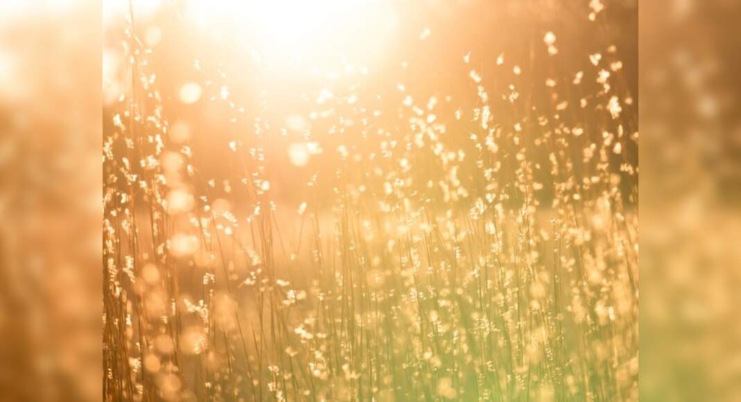 Here's why not getting enough sunlight can be dangerous - Misskyra.com