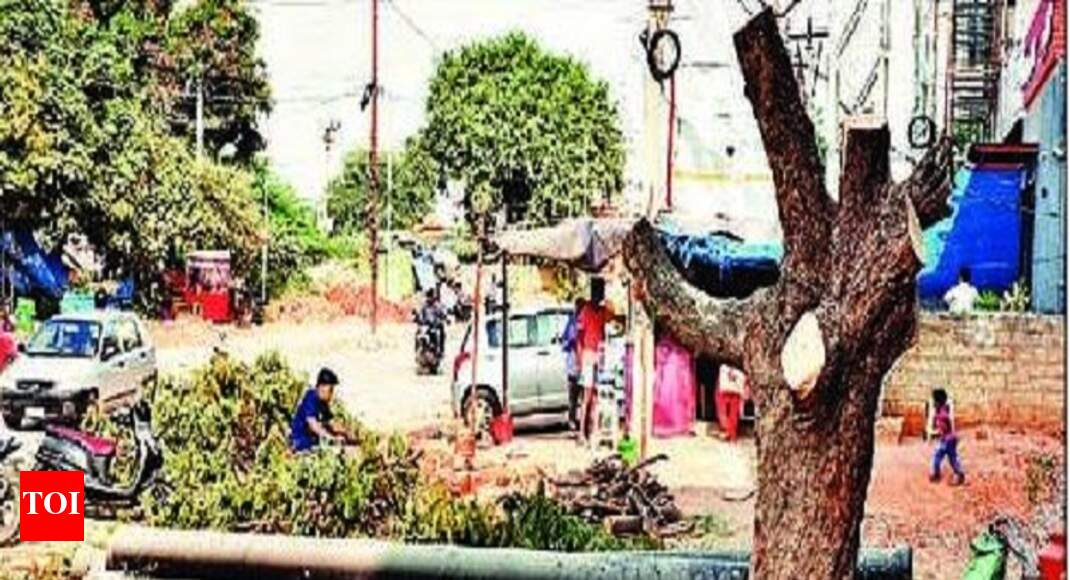 15 trees on Nallagandla-Tellapur Road hacked, hundreds in line ...