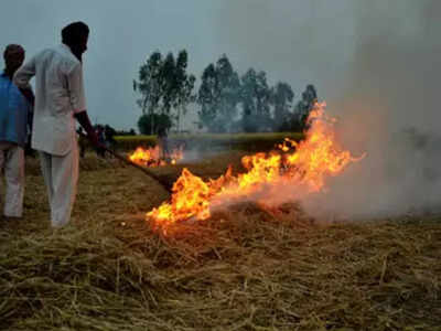Punjab finalises scheme to compensate small, marginal farmers for ...