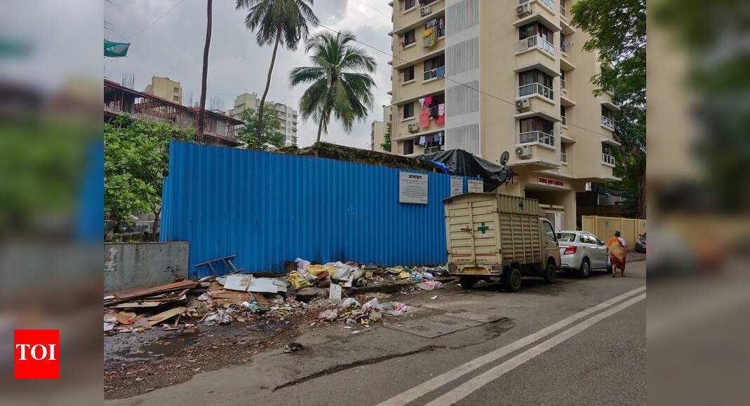 Dumping Yard on the Road - Times of India