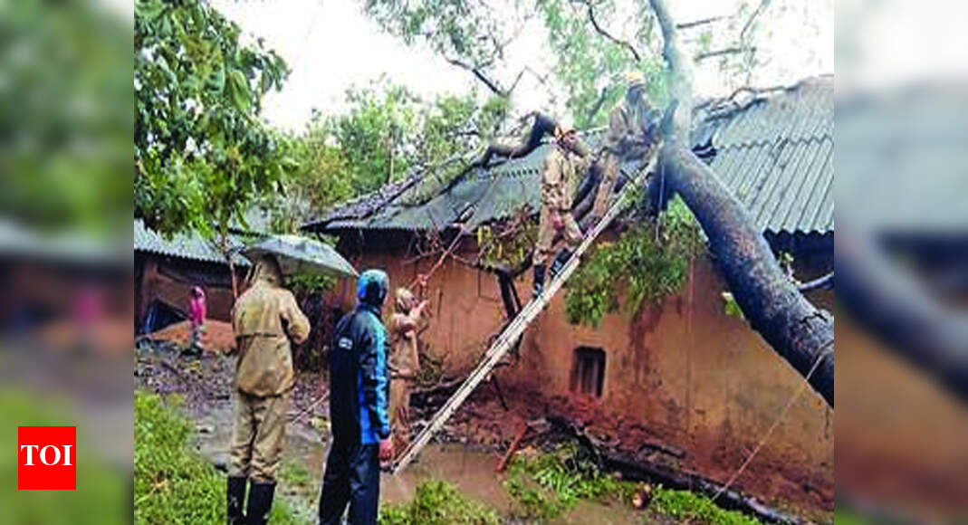 Cyclone Bulbul brings heavy rain, strong winds in coastal districts ...