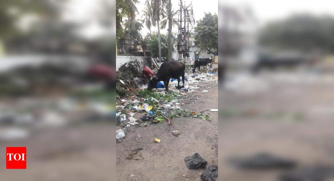 Old junk in New colony chromepet - Times of India