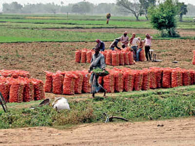 Cyclone Bulbul: Inundated fields trigger veggie price-rise fear in ...