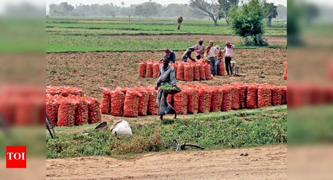 Cyclone Bulbul: Inundated fields trigger veggie price-rise fear in ...