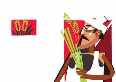 Natco takes on US co over insecticide products in India - Times of India