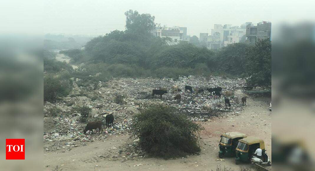 Illegal waste dumping - Times of India