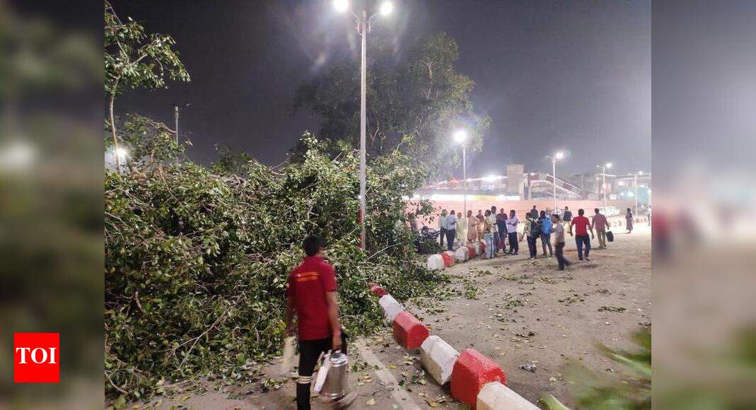 Bhopal: Tree falls on CRPF bus, driver injured | Bhopal News - Times of ...