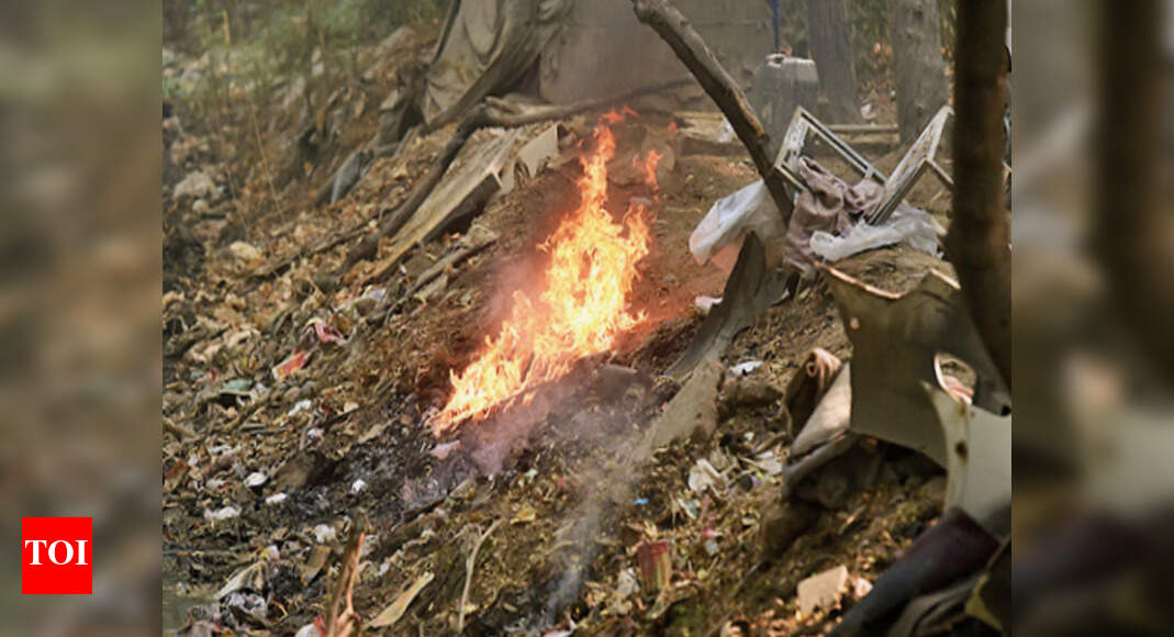 Delhi: Inadequate action fails to control ‘quick-fix’ waste burning ...