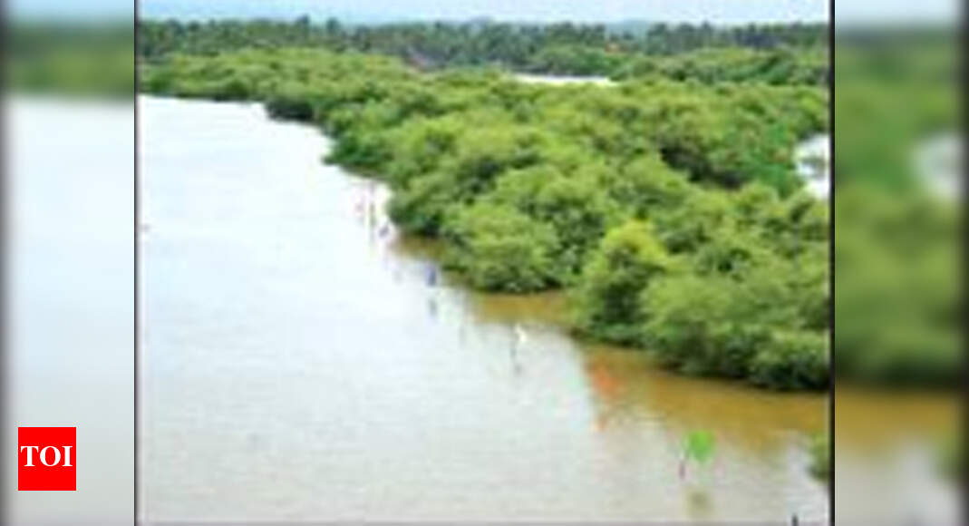 Desilt Sal before resuming bypass work: Churchill | Goa News - Times of ...