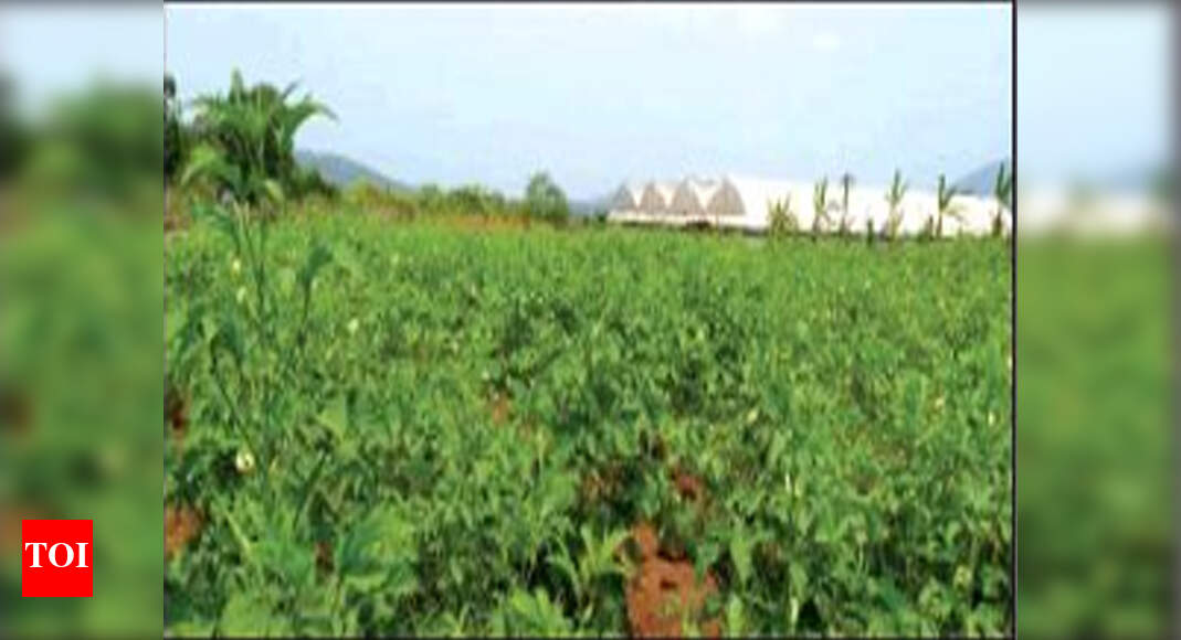 Organic farming varsity to boost rural economy | Goa News - Times of India