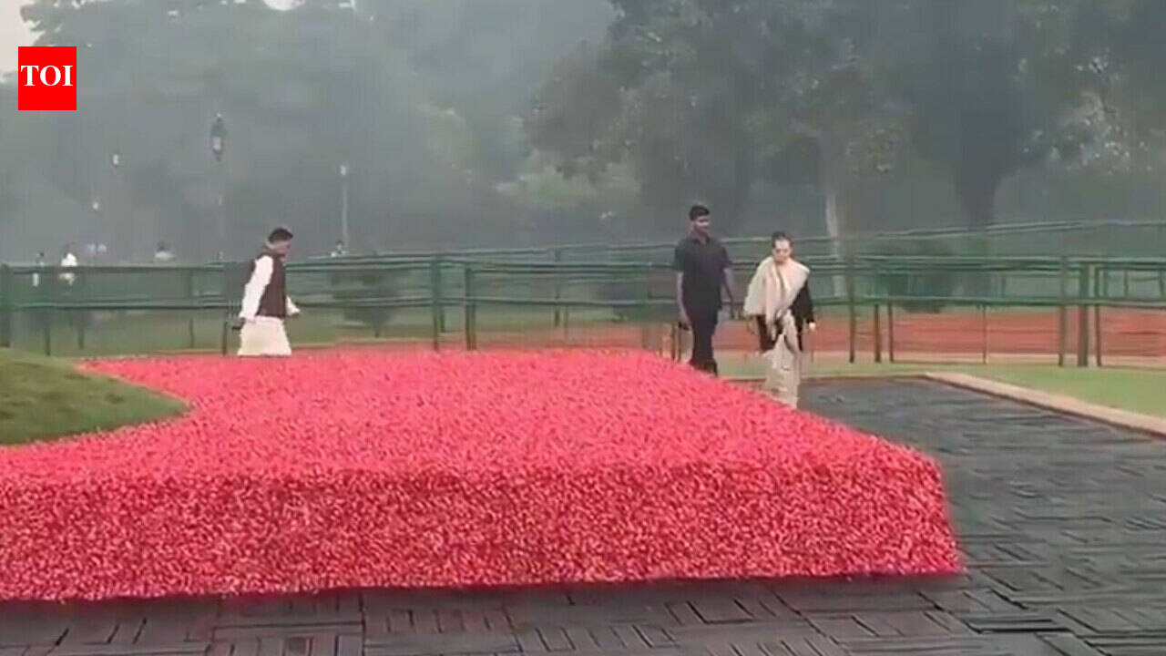 Sonia Gandhi pays tribute to Pandit Jawaharlal Nehru on his birth ...