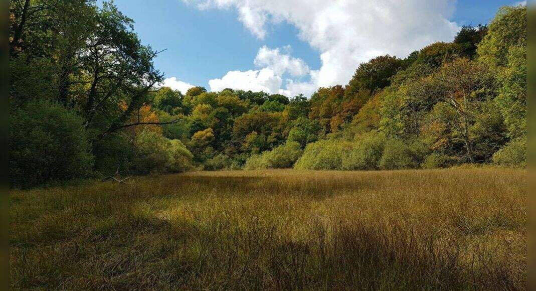 This all-new French national park is very close to Paris | TimesTravel