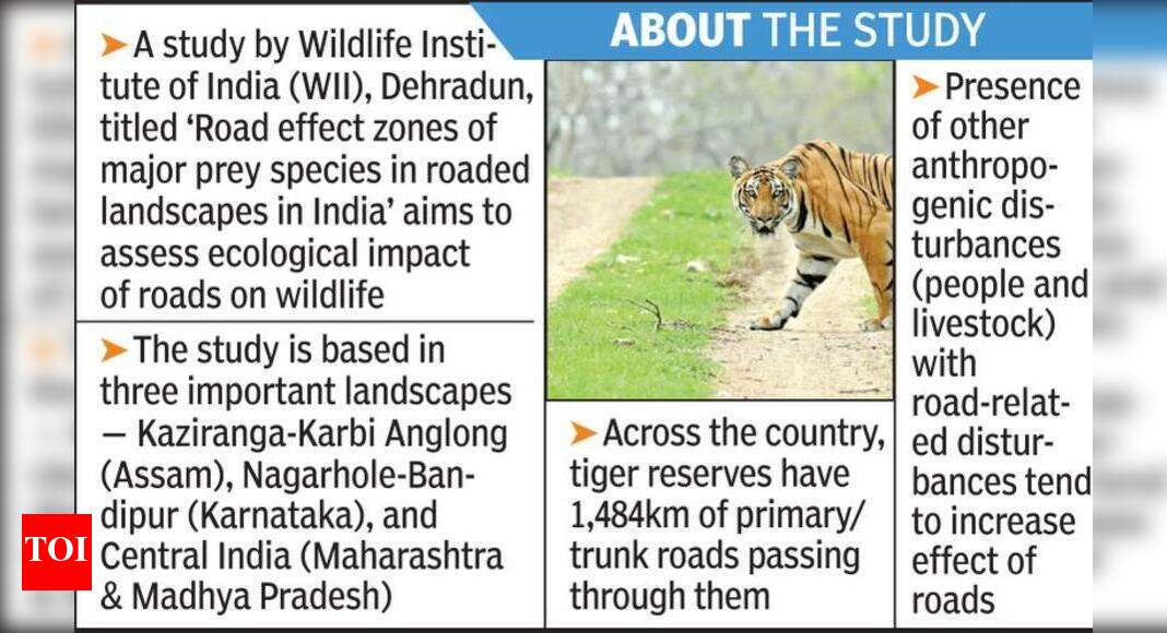 Disturbances from road affect wildlife: Study | Nagpur News - Times of ...