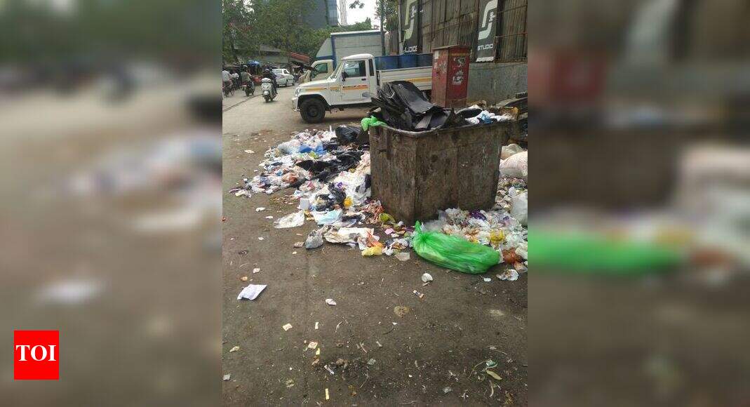 not clean dustbin in the road - Times of India