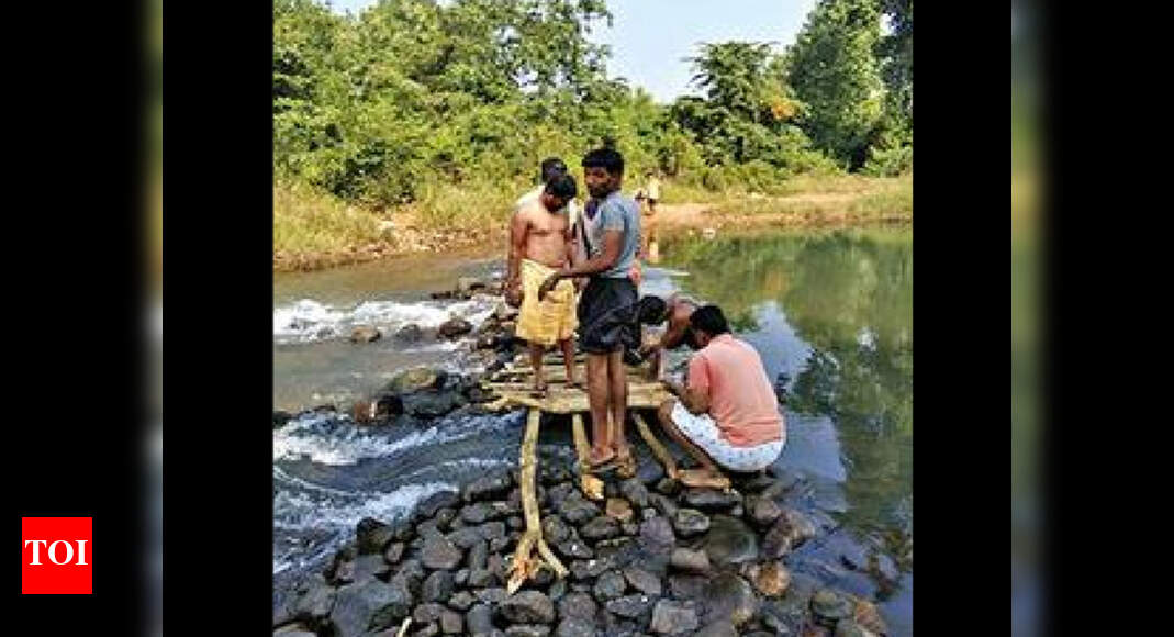 Odisha: Villagers come together to build bridge in 3 days | Bhubaneswar ...