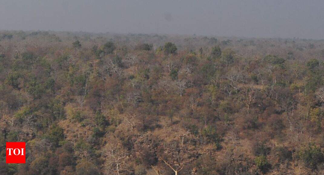 Once badlands, Chambal to be on eco-tourism map under Green Agriculture ...