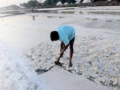 Rain washout: Salt production takes hit in Gujarat | Ahmedabad News ...