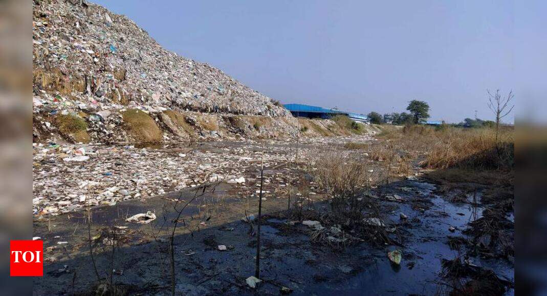 24x7 stench from Shishambara plant making our lives miserable, say ...